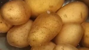 Aligot Mashed Potatoes With Cheese: Perfect Comfort Food!